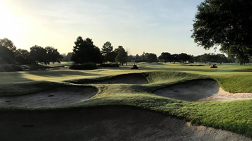 PGLS - Available courses